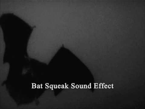 Bat Squeak Sound Effect - YouTube