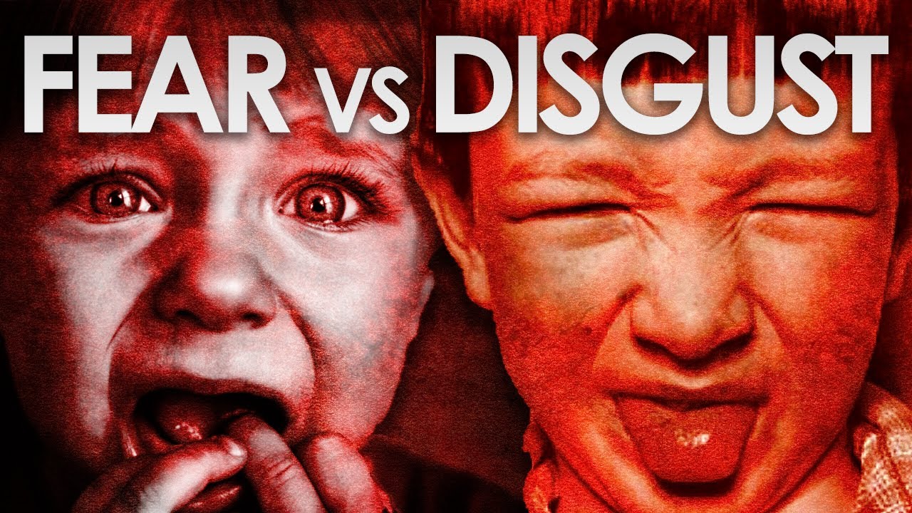 The Philosophy of Disgust and Affect Theory - YouTube