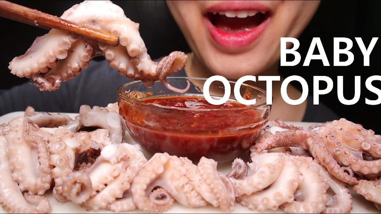 BABY OCTOPUS ASMR 쭈꾸미 리얼사운드 먹방 Eating Sound (no talking) - YouTube