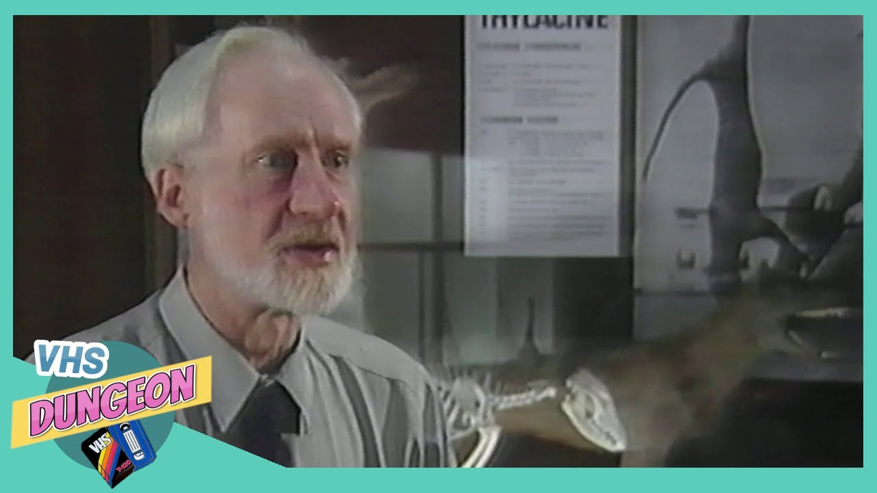 Australian Tasmanian Tiger - Today Tonight AUS 90s News Segment (VHS ...