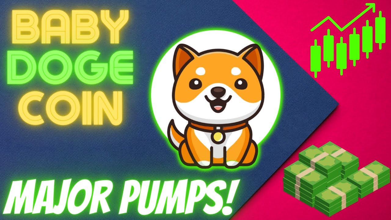 Baby Doge Coin Has MAJOR Pump! - YouTube
