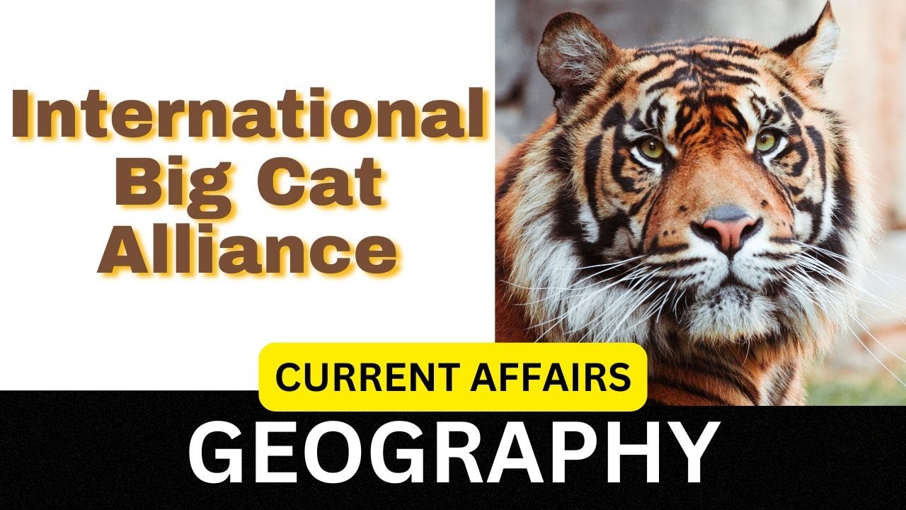 International Big Cat Alliance | UPSC Current Affairs 2025 #upscexam # ...