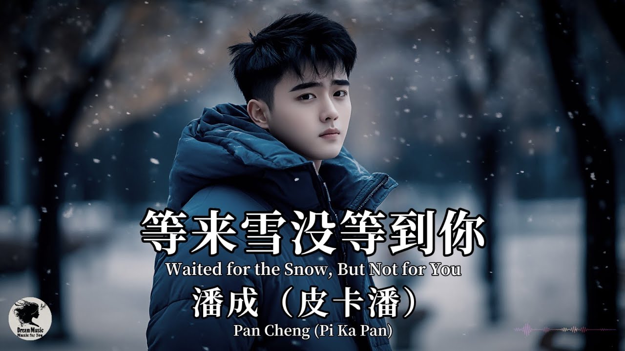 潘成（皮卡潘）Pan Cheng - 等来雪没等到你【Pinyin + Eng Sub | 梦幻音乐 | 简体拼音英文动态字幕】 - YouTube
