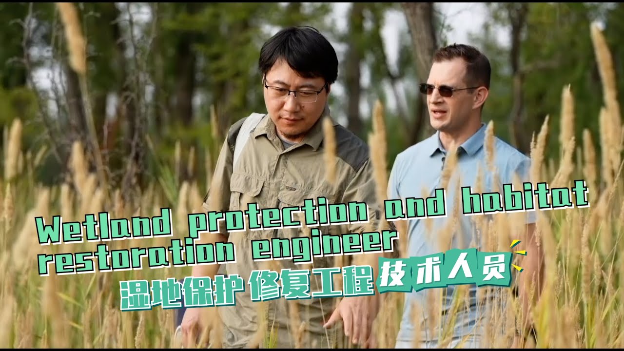Wetland protection and habitat restoration engineer - YouTube