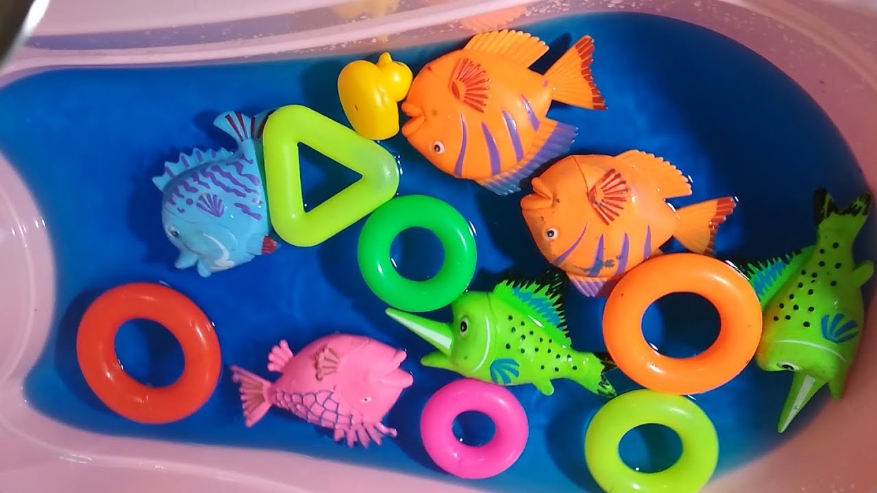 Fish Toys swim in water for kids | Dana Tv - YouTube