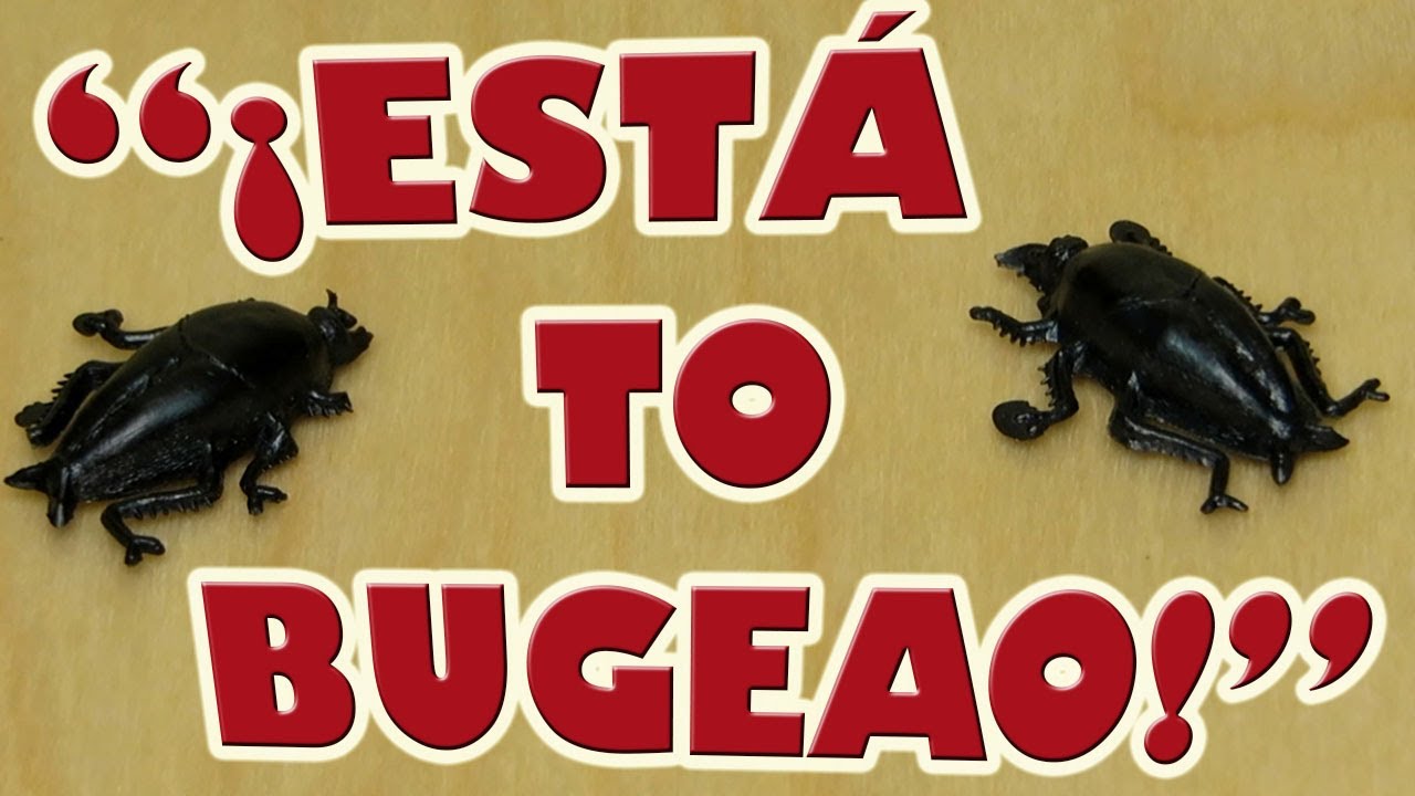 ¿Por qué se llaman Bug a los fallos de software? - YouTube