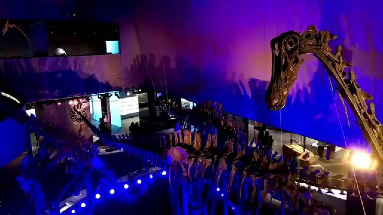 LKCNHM Atrium Dinosaur Light Show - YouTube