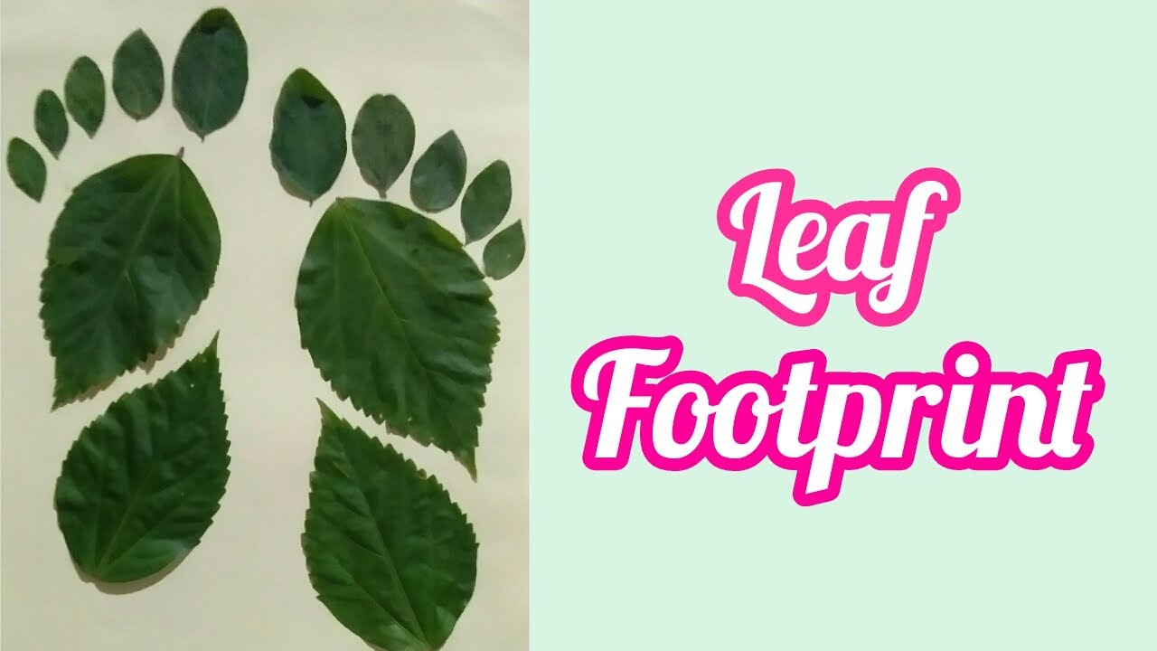 How to make leaf footprint l footprint with leaf l leaf craft l Shana ...