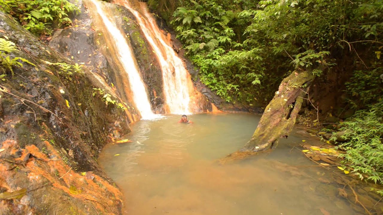 Hike to Tufton Hall Waterfall near Victoria, St. Mark's, Grenada - YouTube