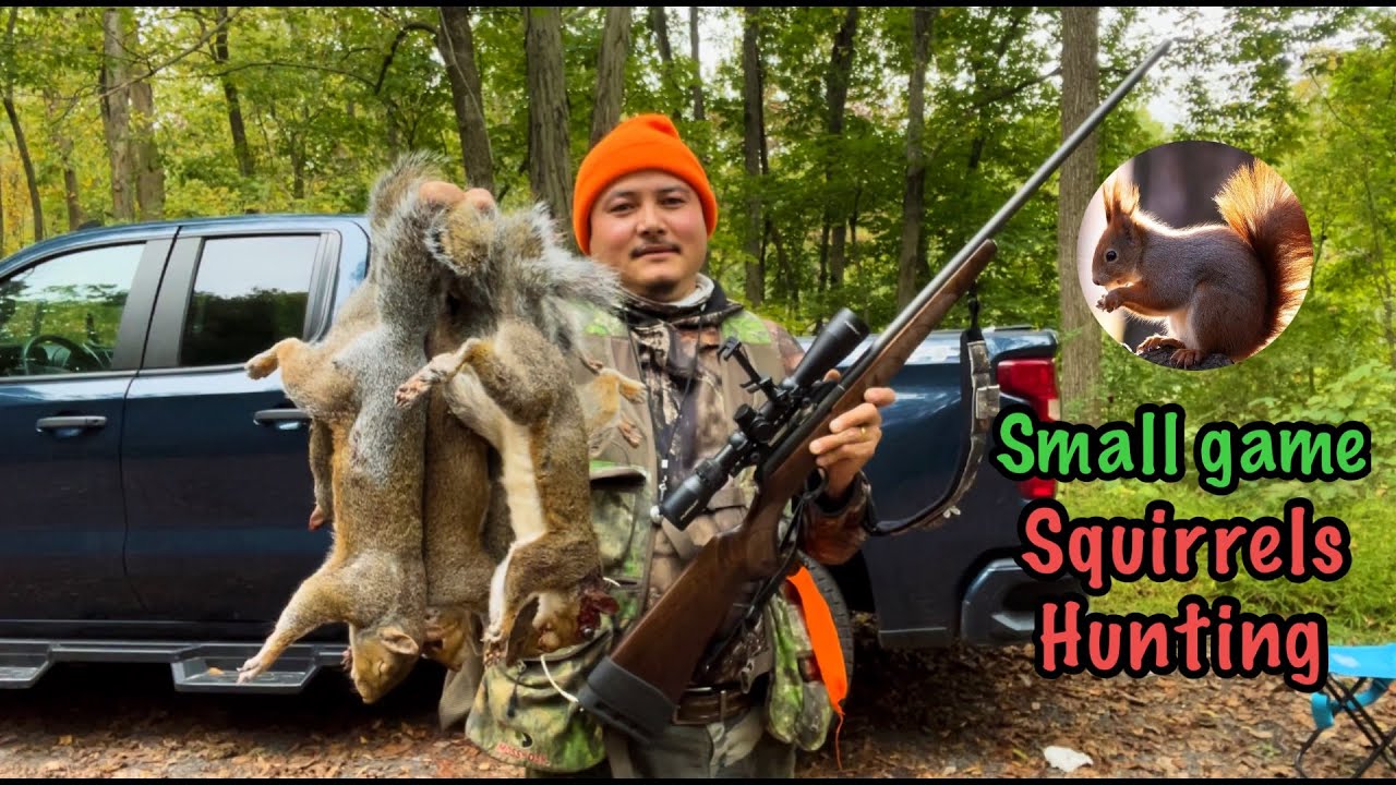 Small game Squirrels Hunting 2024 - YouTube
