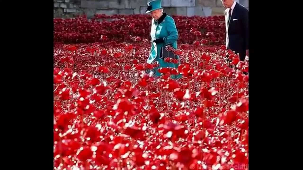 Oct 29, 2014 - YouTube