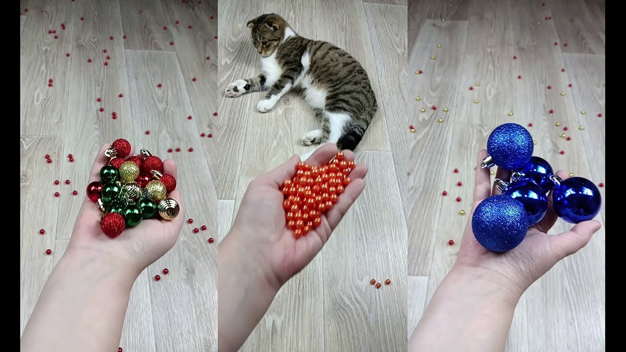 Cat Marbles Satisfying Reverse Video ASMR Funny Video - YouTube