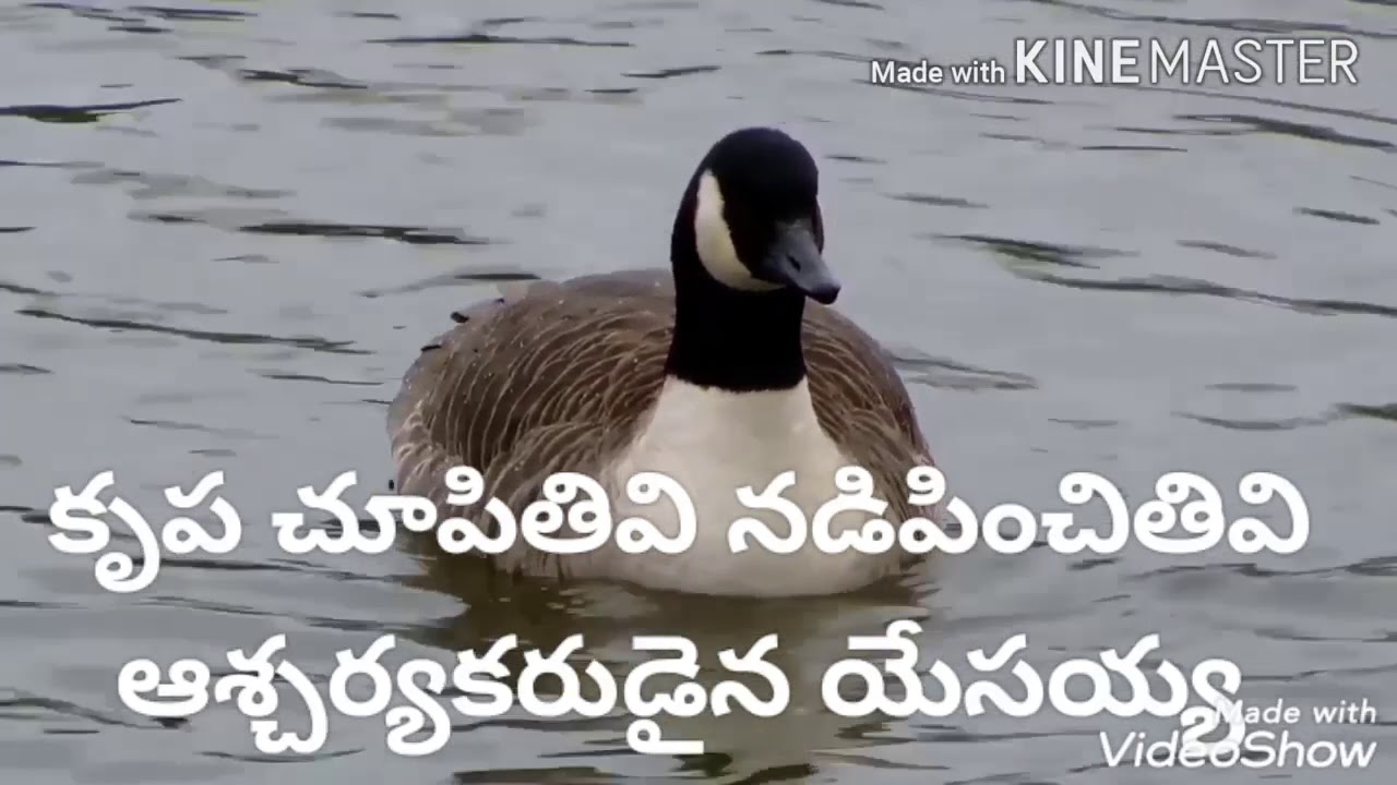 Shalom ministries varadaiahpalem.cell.9989144339 - YouTube