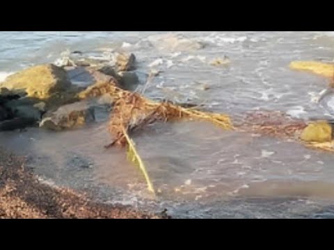 Η ΠΑΡΑΛΙΑ ΜΟΡΦΑ ΣΤΗΝ ΑΥΛΙΔΑ ΜΕΤΑ ΤΙΣ ΠΛΗΜΜΥΡΕΣ ΣΤΗΝ ΕΥΒΟΙΑ - YouTube