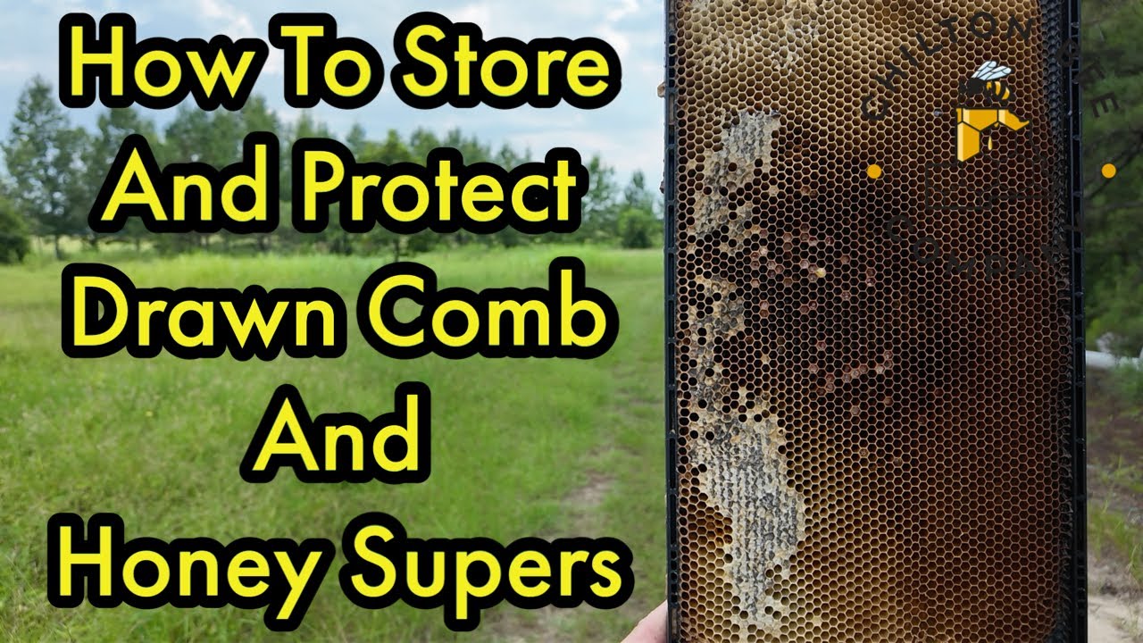 How To Store And Protect Drawn Comb And Honey Supers - YouTube