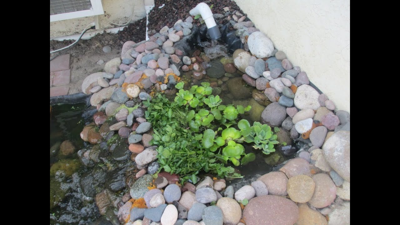 Diy Radial Flow Filter for Turtle Pond - YouTube