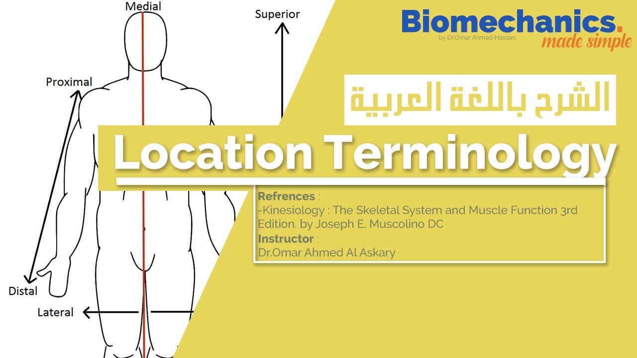 Location terminology - Biomechanics made simple - YouTube