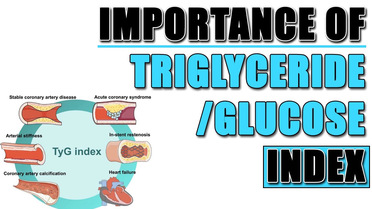 Importance of Triglyceride/Glucose Index - YouTube