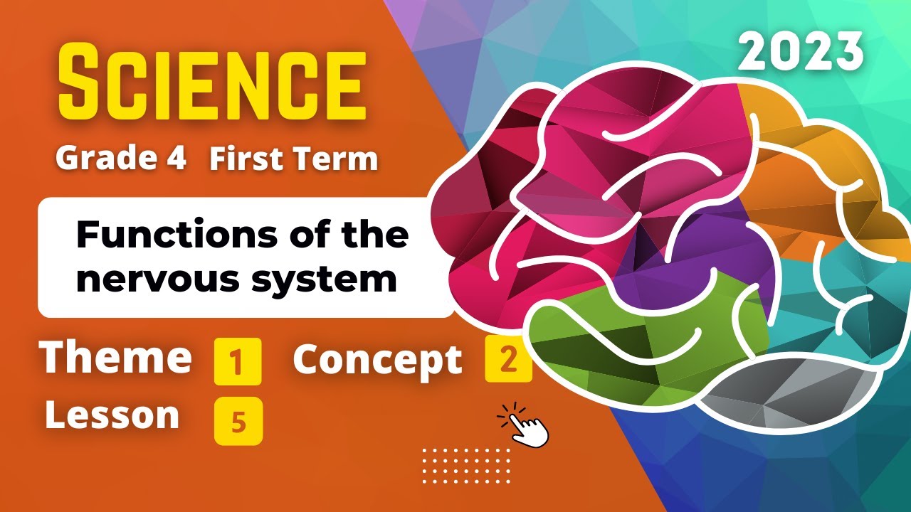 Grade 4 | Science | Unit 1 - Concept 2 - Lesson 5 | Functions of the ...