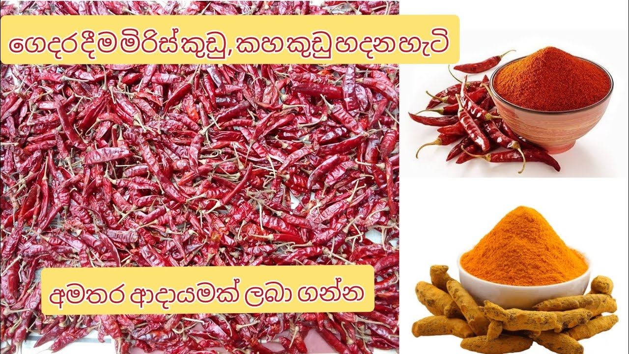 ගෙදර දී ම මිරිස් කුඩු, කහ කුඩු හදන හැටි | How to make Chilli Powder and ...