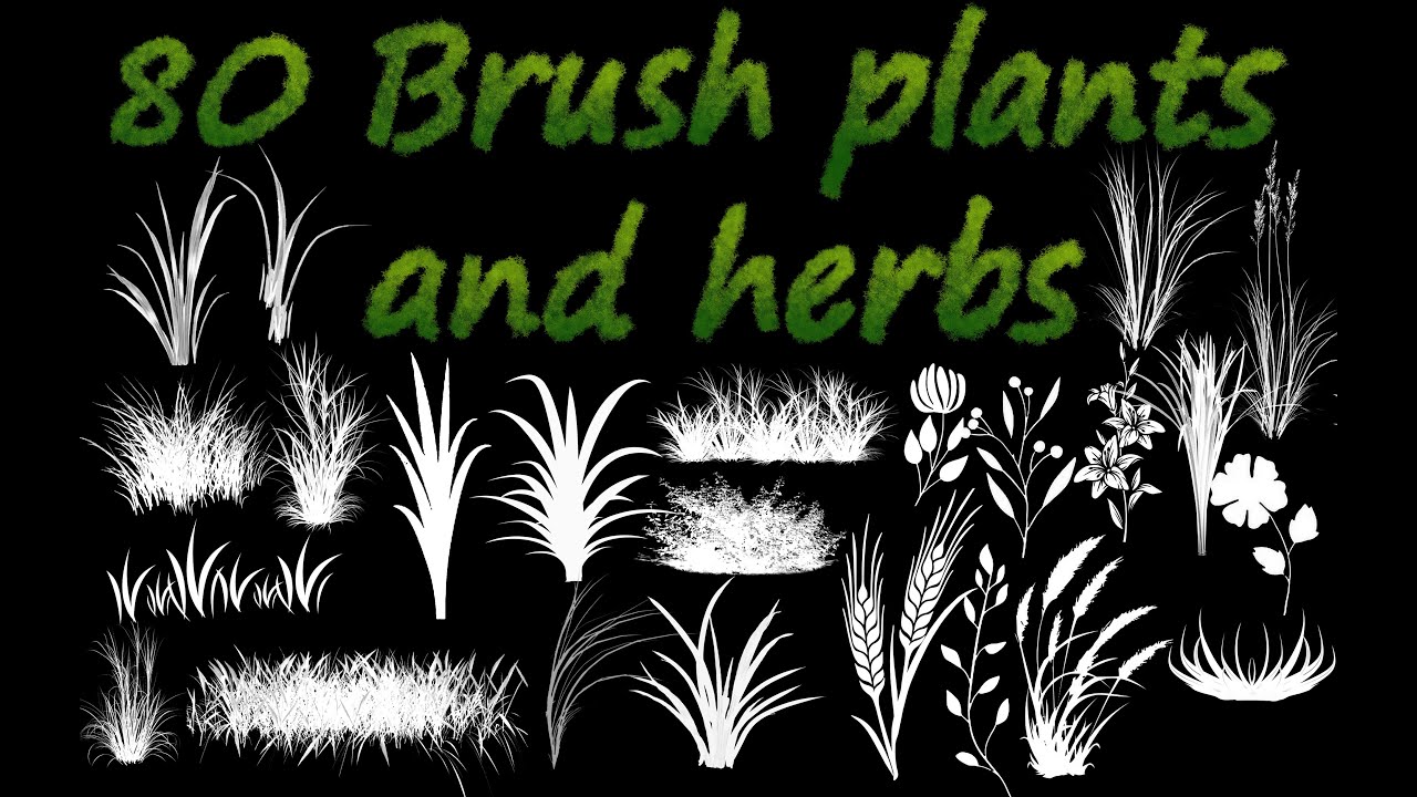 Download more than 80 Photoshop brushes for herbs and plants - YouTube