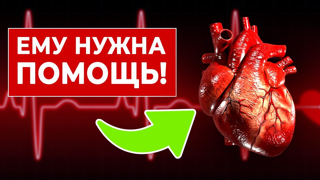 Болит сердце – что делать? Как отличить боль в мышцах, груди, рёбрах от ...
