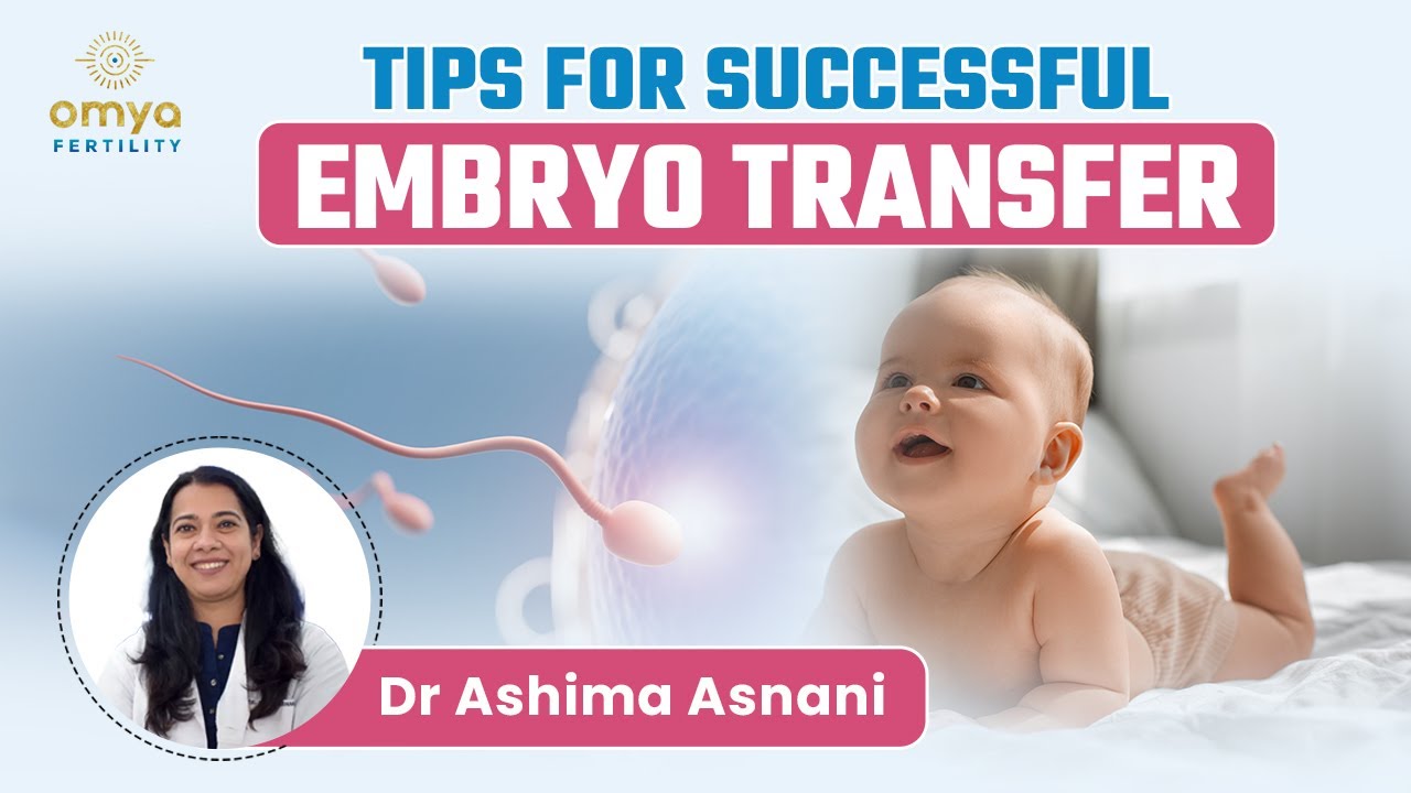 Embryo Transfer Success: Expert Tips and Guidance | Procedure | Embryo ...