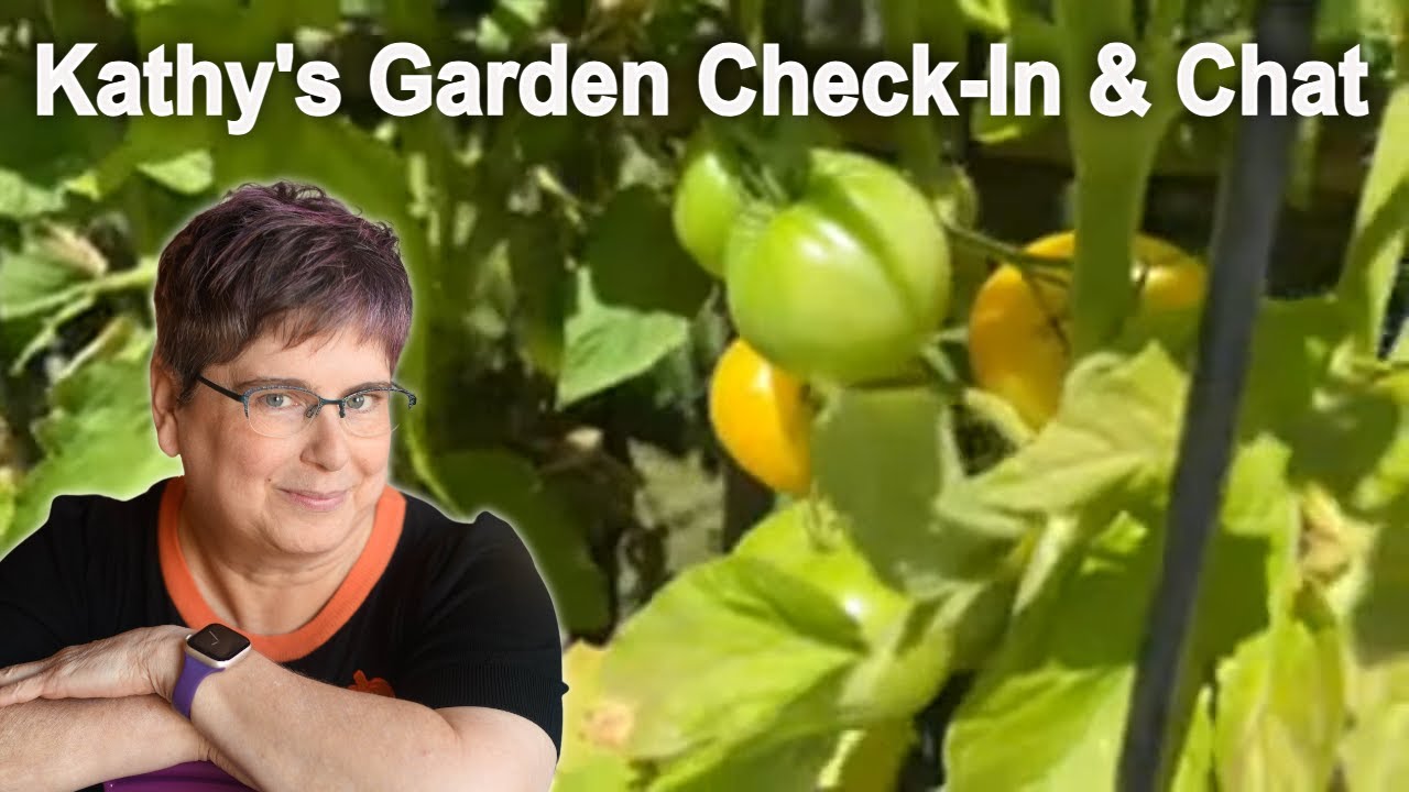 Chat and Container Garden Show and Tell! - YouTube