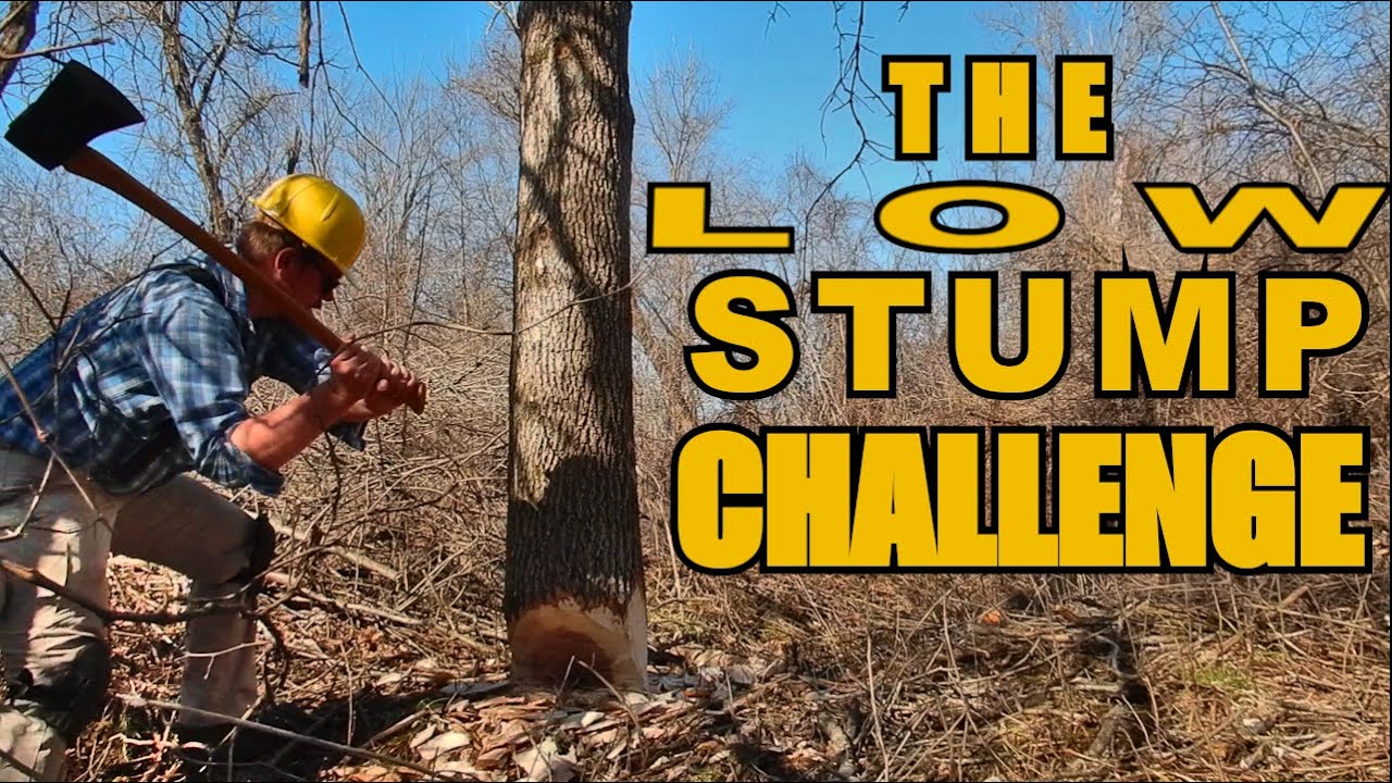 The new Low Stump mini-Challenge! (Axe Cordwood Challenge 2024) - YouTube