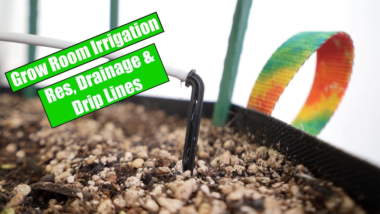 Grow Room Irrigation setup: Res, Drip Lines and Drainage - YouTube