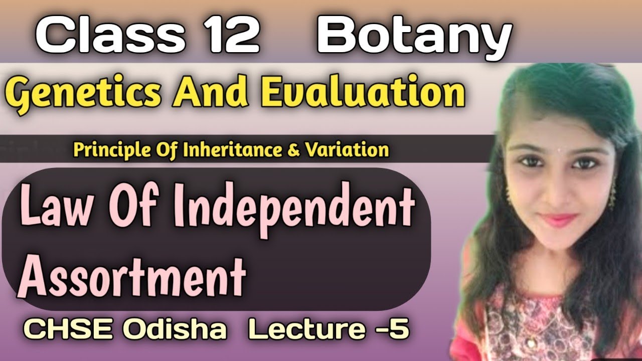 Class 12 Botany Genetics and Evaluation ||Law Of Independent Assortment ...
