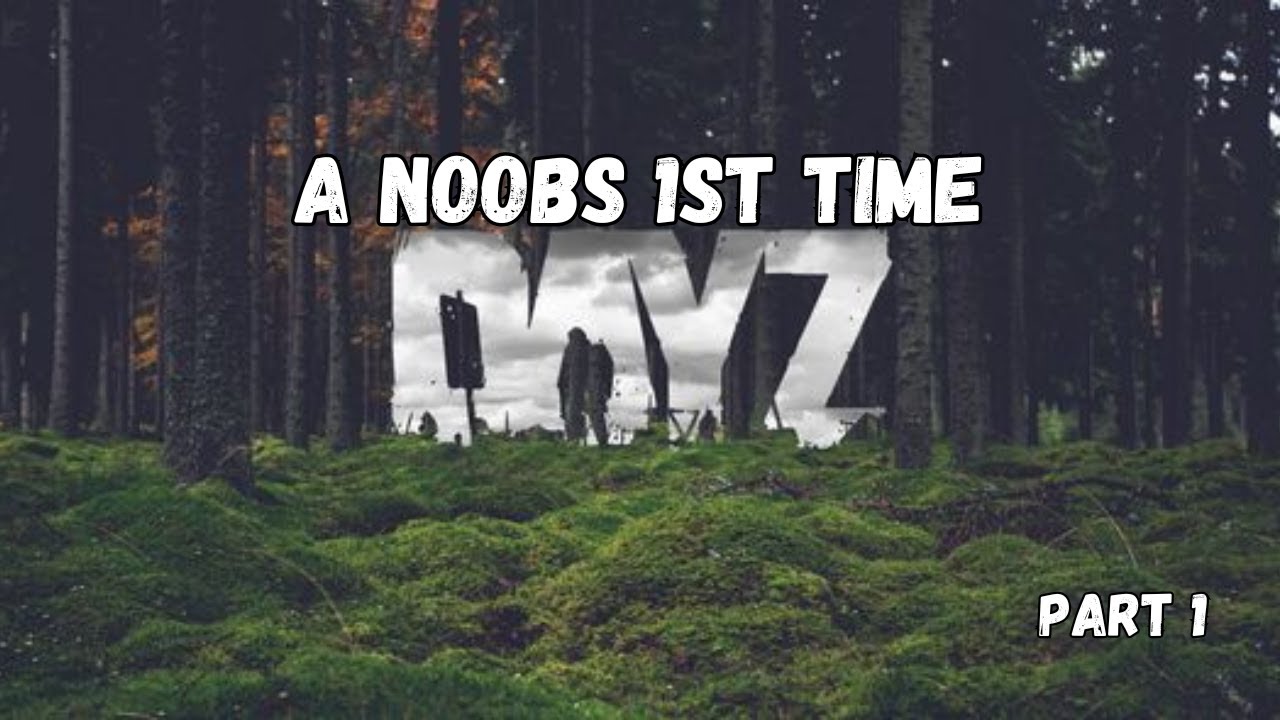 DayZ | A noobs 1st time | Part 1 - YouTube