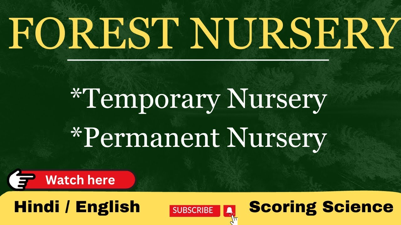 Permanent nursery || Temporary nursery || Types of nursery ...
