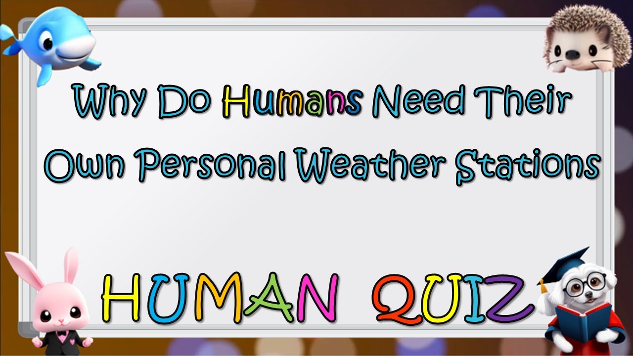 Why Do Humans Need Their Own Personal Weather Stations - YouTube