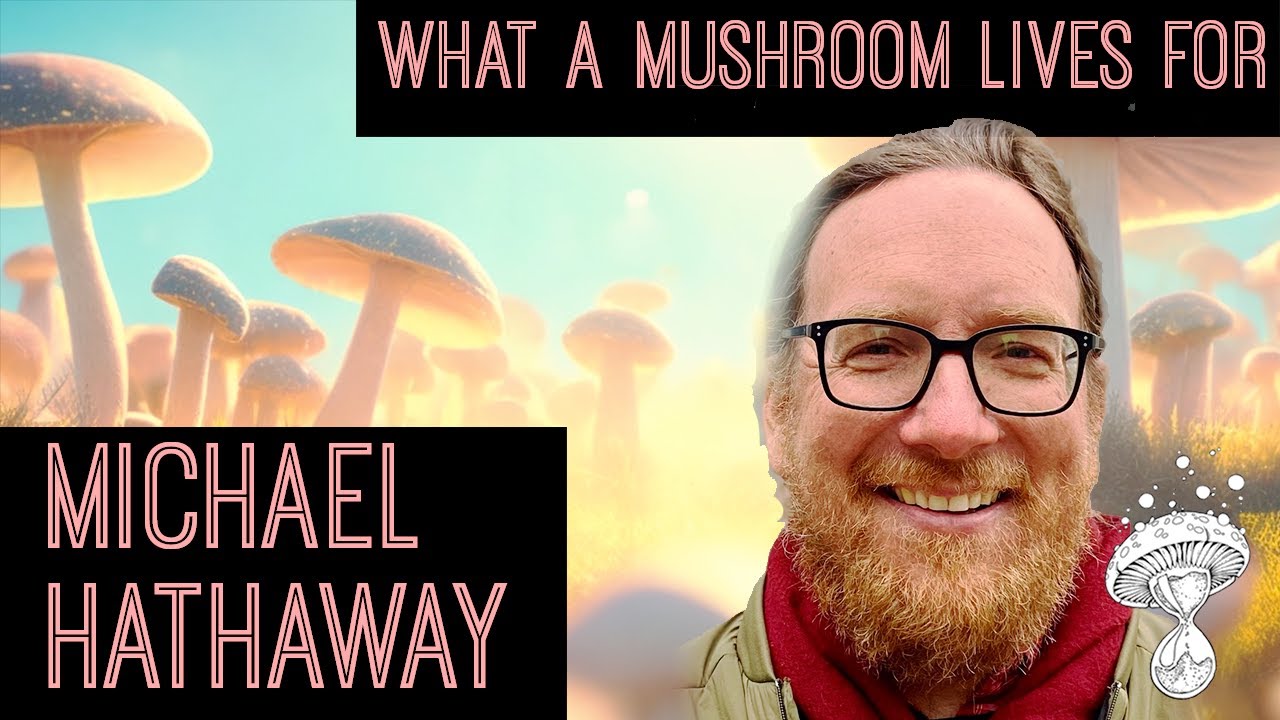 Michael Hathaway || What a Mushroom Lives For - YouTube