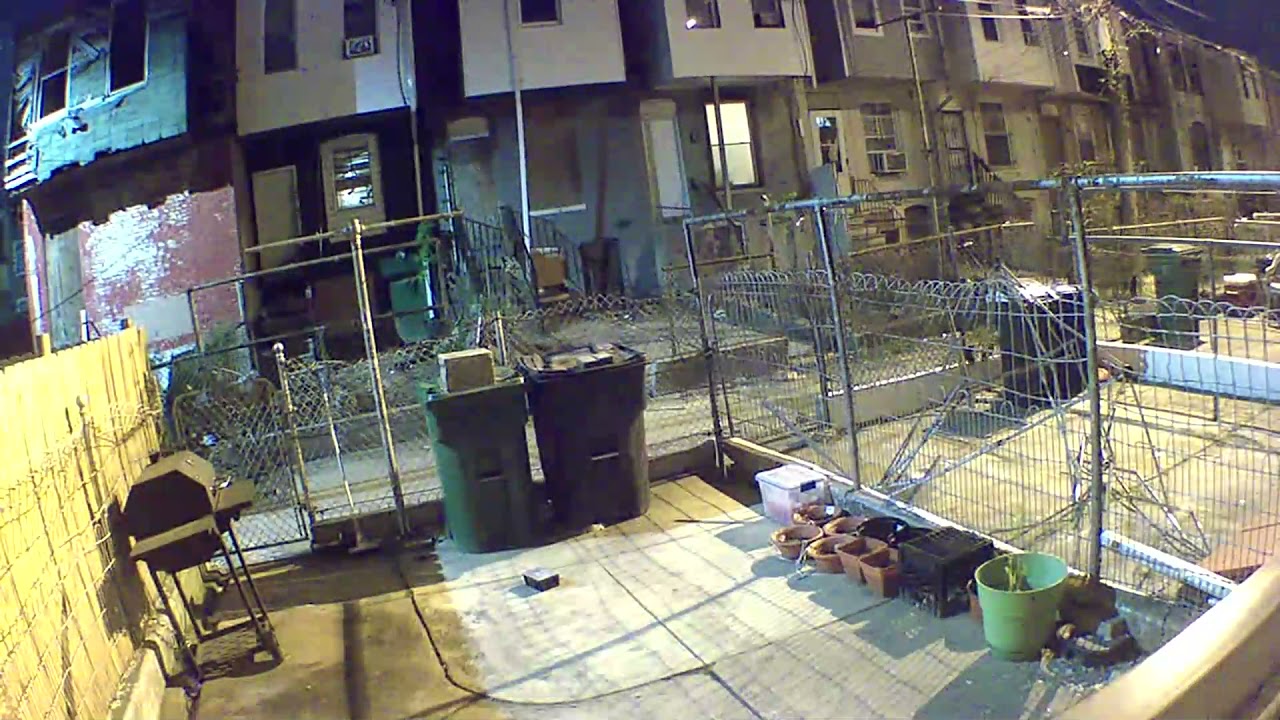 Rats invading east baltimore Luzerne ave from 900 block of n rose ...