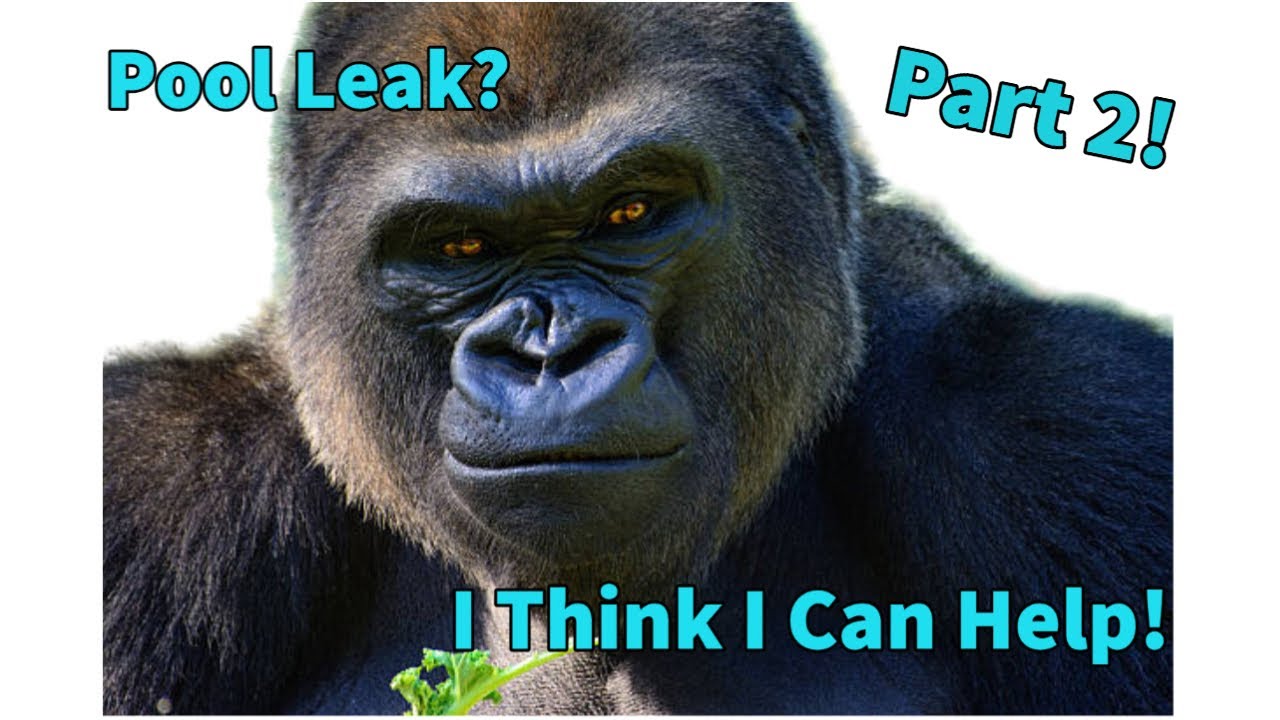 Gorilla Tape Waterproof Patch and Seal DIY Pool Patch Part 2 - YouTube