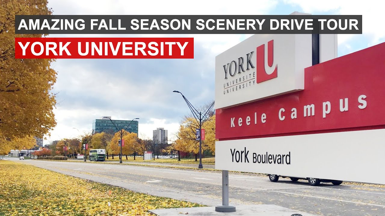 York University Toronto Drive 2023: The Complete Keele Campus Fall ...
