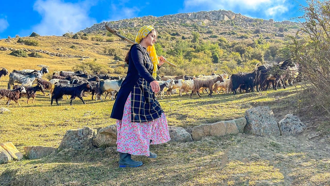 IRAN nomadic lifestyle _ daily routine village life of Iran _ Alborz ...