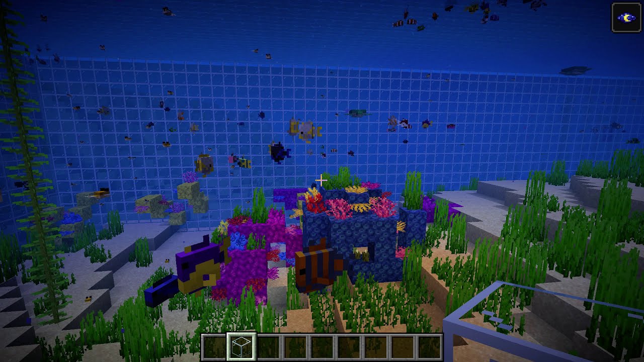 Minecraft Ocean Ecosystem. - YouTube