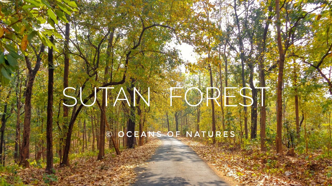SUTAN FOREST - সুতান Road trip || BANKURA || JHILIMILI || WEST BENGAL ...