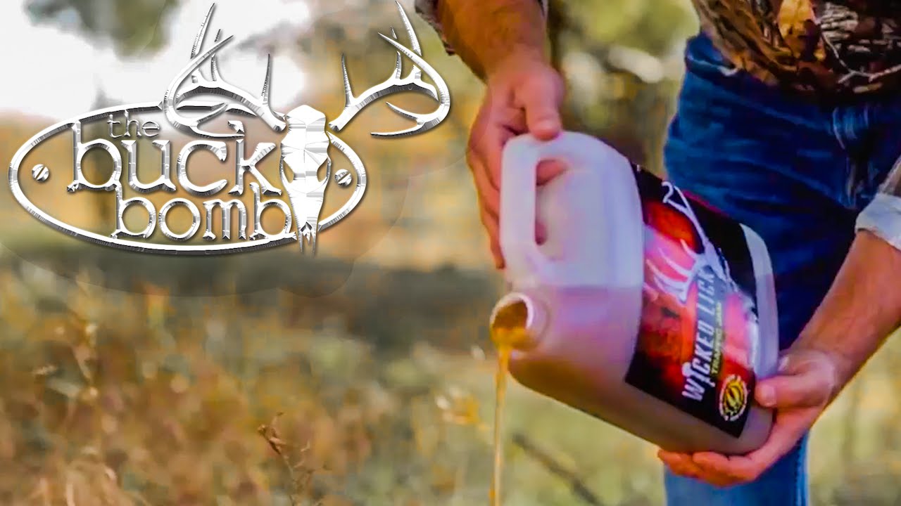 NEW Buck Bomb Wicked Lick Liquid Deer Attractant - YouTube