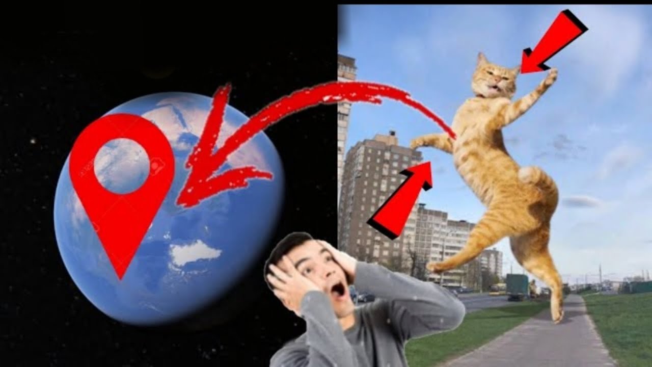 I Found Creepy Huge Cat on google map and google earth #googleearth # ...