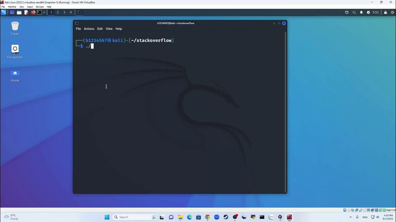 Khai thác lỗi Stack-based Buffer Overflow trên Linux 64 bit - YouTube
