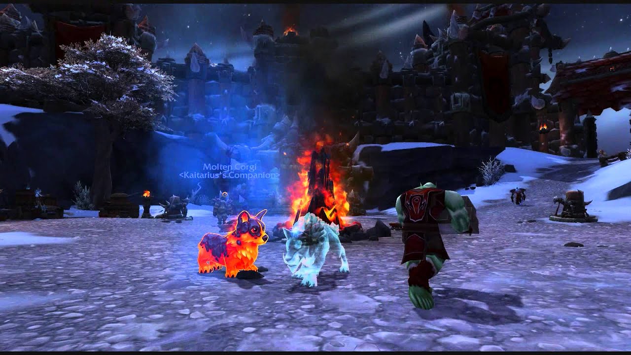 Molten Corgi - WoW 10th Anniversary collector pet. - YouTube