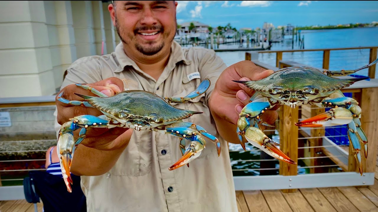Pesca y Captura de JAIBAS con trampas - YouTube