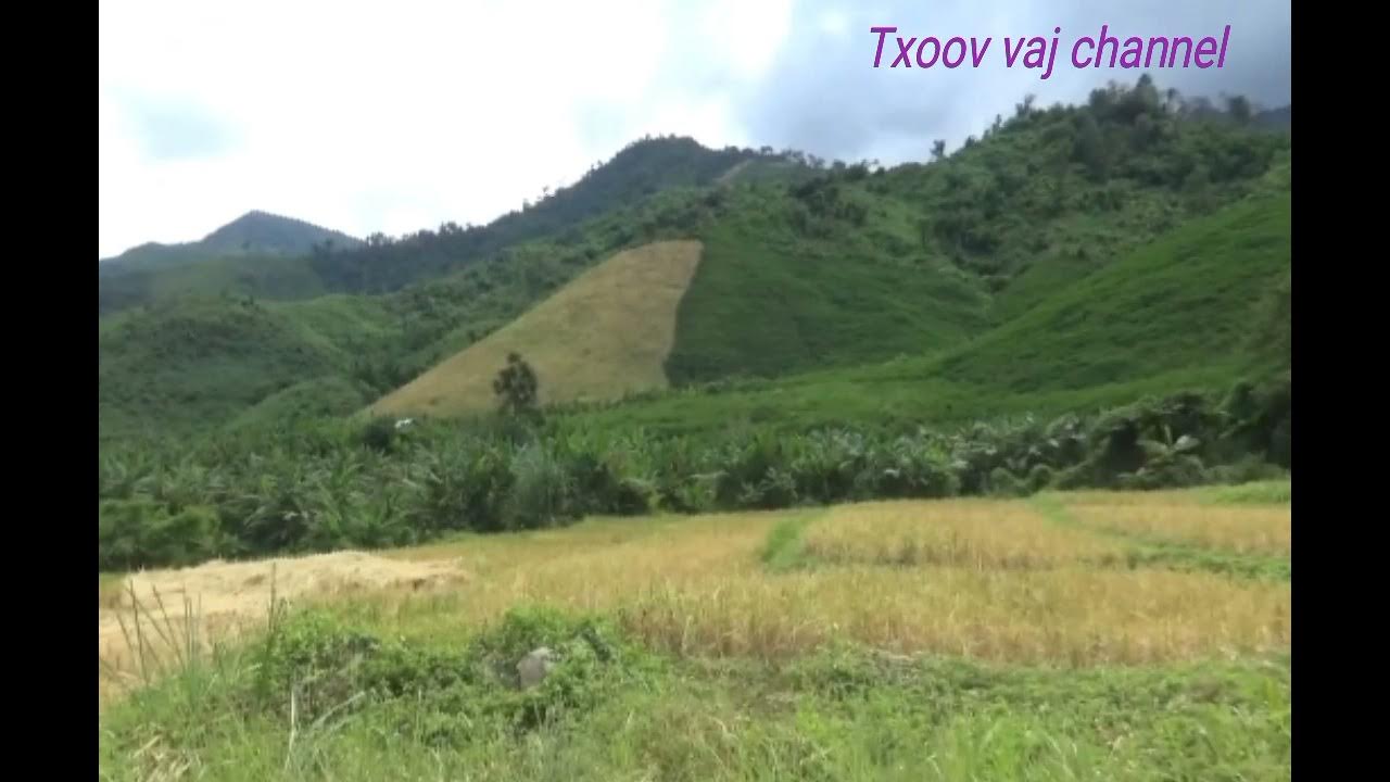 Tham txog lawv txeeb txiv ntxawm nom yis lis looj mem - YouTube