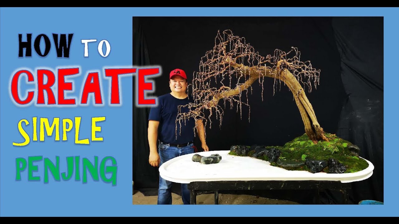 How to create a simple penjing composition - YouTube