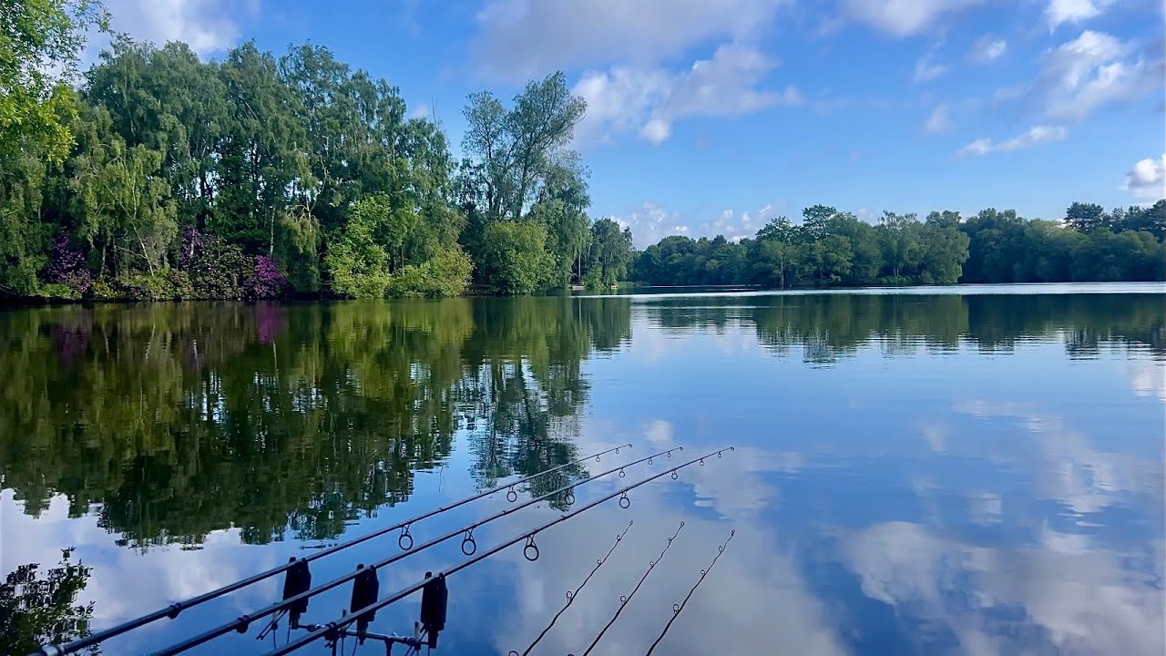 Carp fishing on shakerley mere for 2nights #carp #fishing #commoncarp # ...