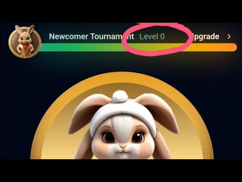 ROCKY RABBIT :HOW TO BUY AND UNLOCK CARDS ,INCREASE PPH ,LEVEL UP AND ...